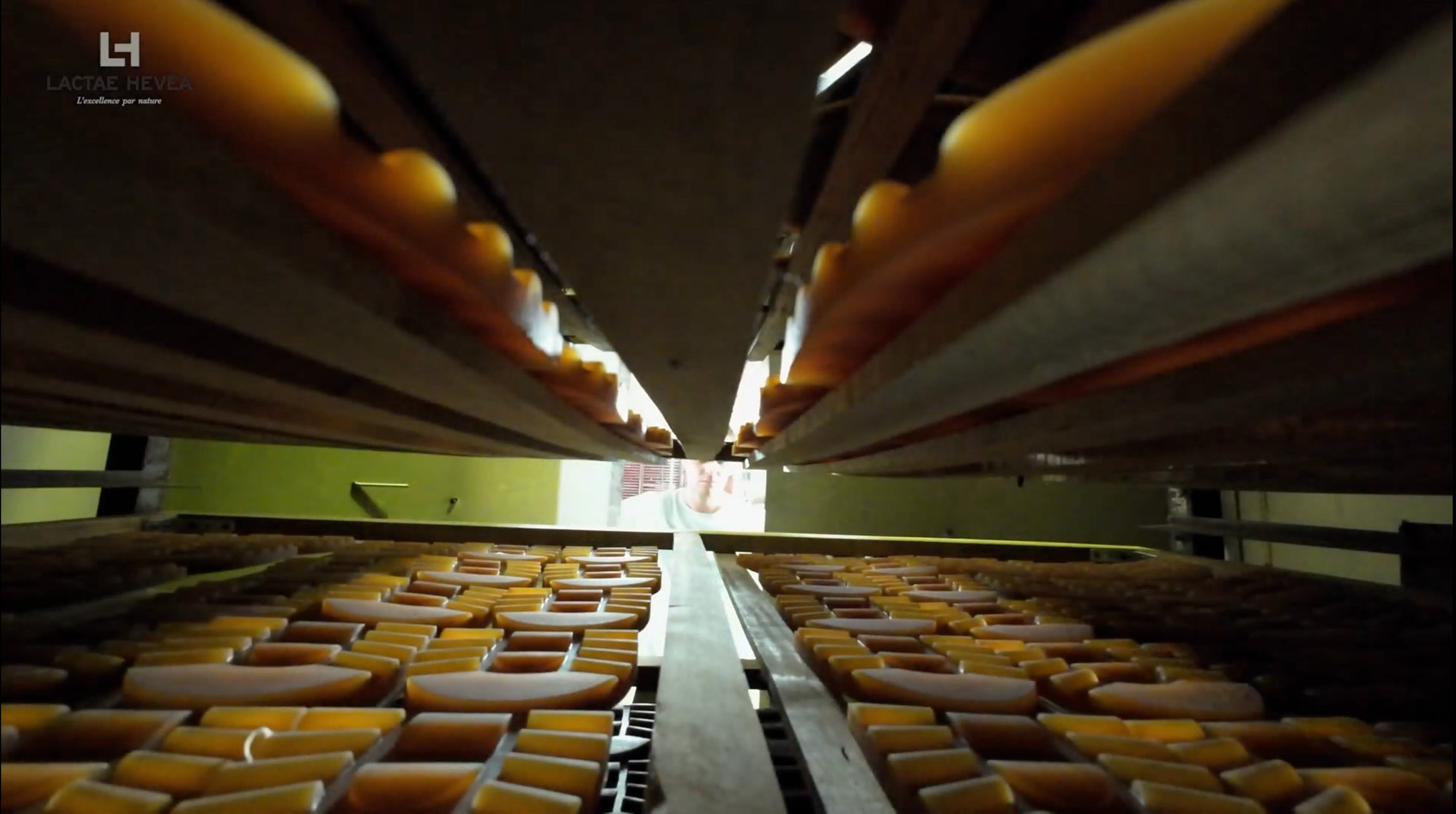 LACTAE HEVEA - Sustainable Shoe Soles from Virgin Hevea Milk - Lactae Hevea